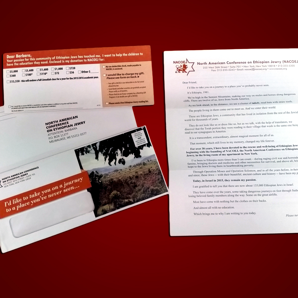 EDDM and Direct Mail - Hershel Barg & Associates